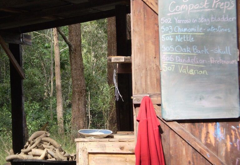 Farm Practices - Purple Pear Farm School Anambah, Australia